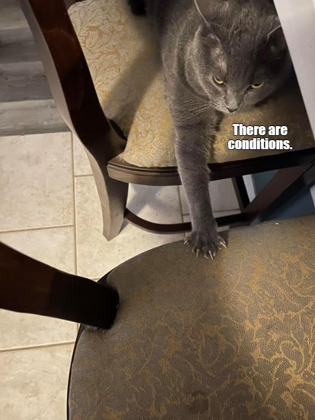 There are conditions - Lolcats - lol | cat memes | funny cats | funny ...