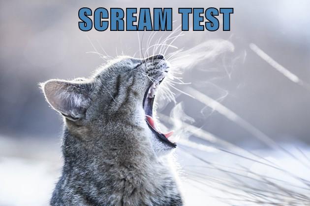SCREAM TEST - Lolcats - lol | cat memes | funny cats | funny cat ...
