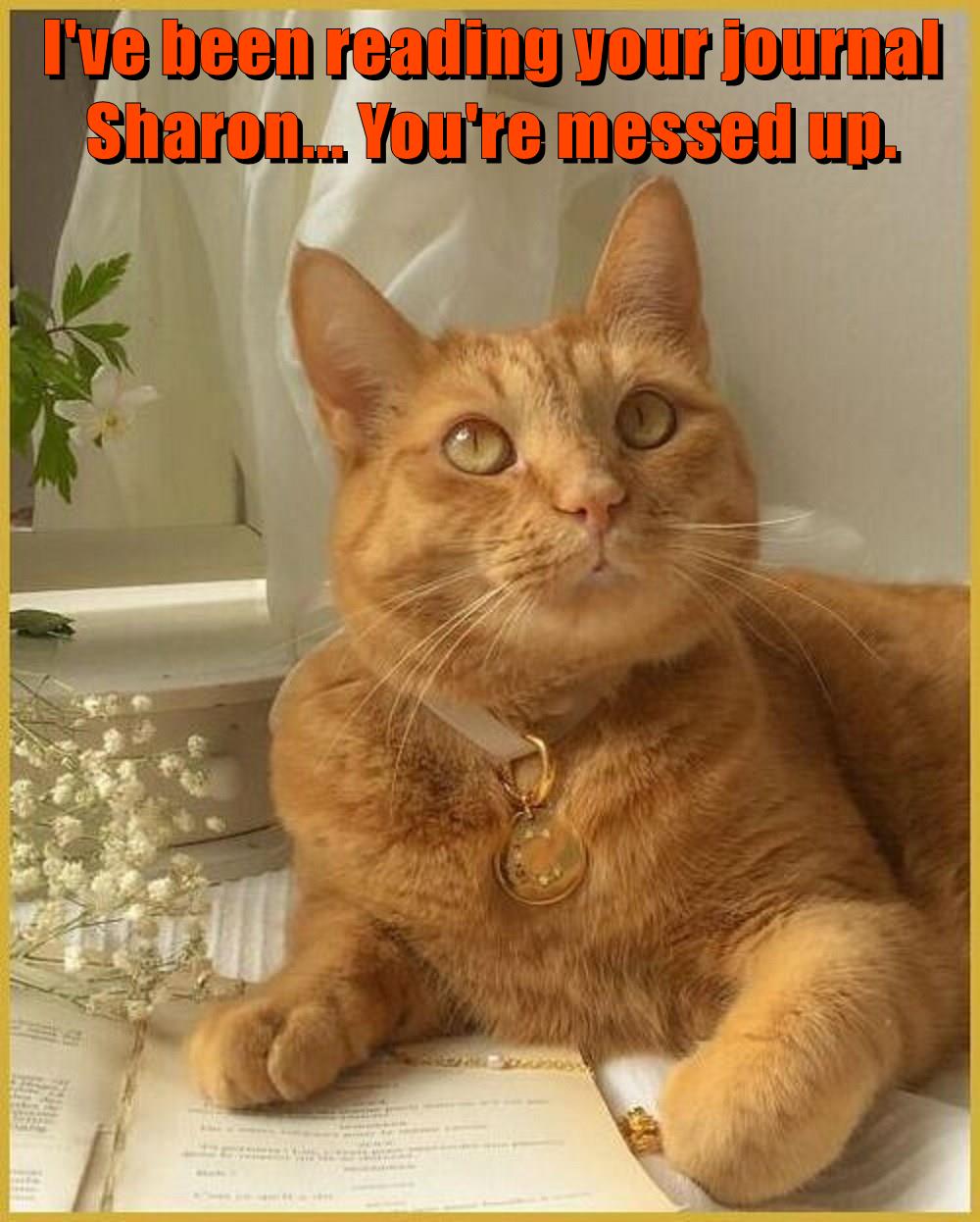 I've been reading your journal Sharon... - Lolcats - lol | cat memes ...