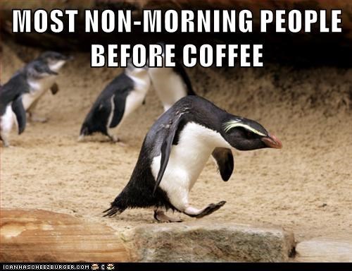 coffee asap! - I Can Has Cheezburger?