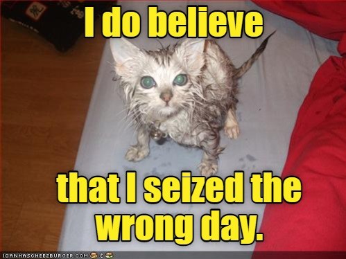 Carpe Diem to you too. - Lolcats - lol | cat memes | funny cats | funny ...