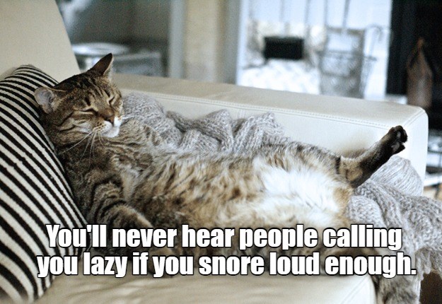 You'll never hear people calling you lazy if you snore loud enough ...