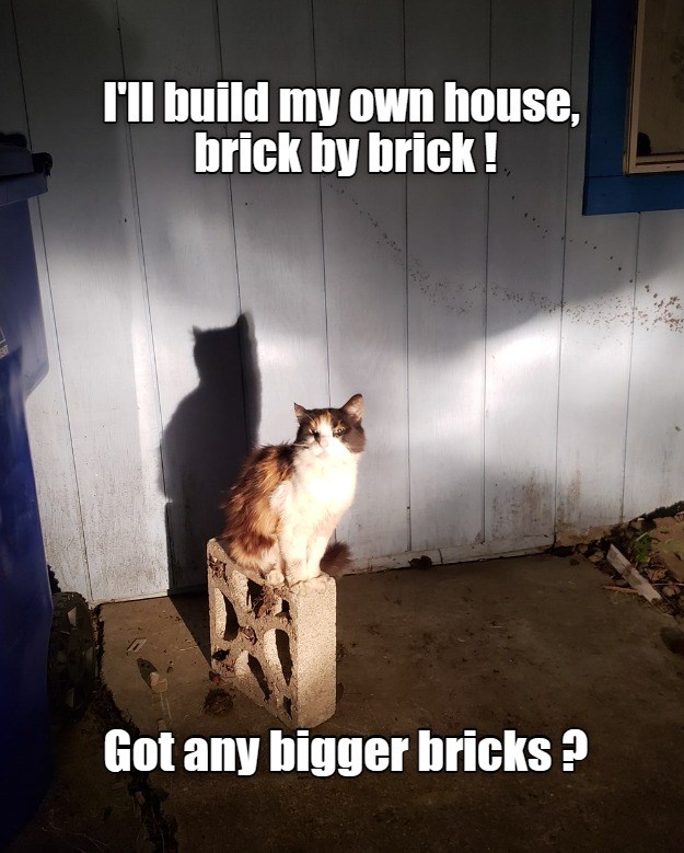 My cat ,the builder ! - Lolcats - lol | cat memes | funny cats | funny ...