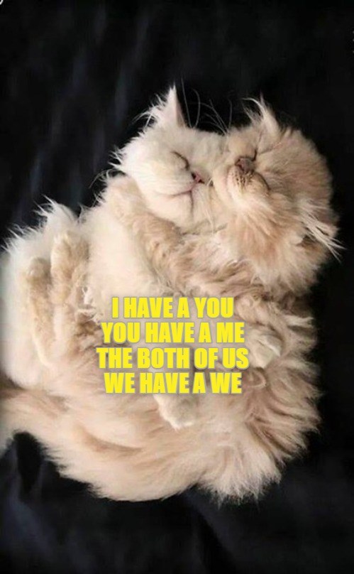 WE HAVE A WE - Lolcats - lol | cat memes | funny cats | funny cat ...