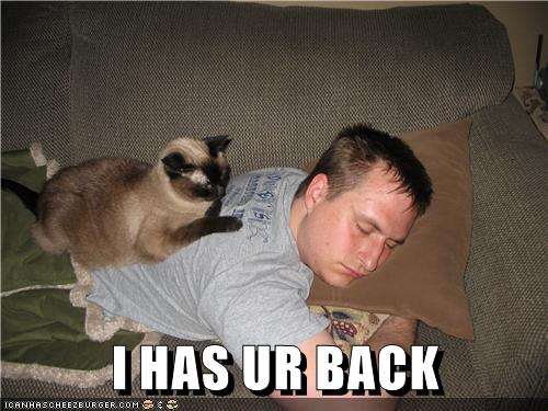 I HAS UR BACK - Lolcats - lol | cat memes | funny cats | funny cat ...