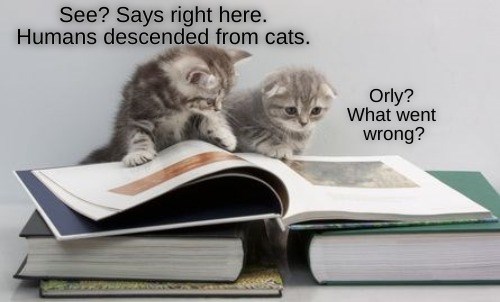 Development Derailed - Lolcats - lol | cat memes | funny cats | funny ...