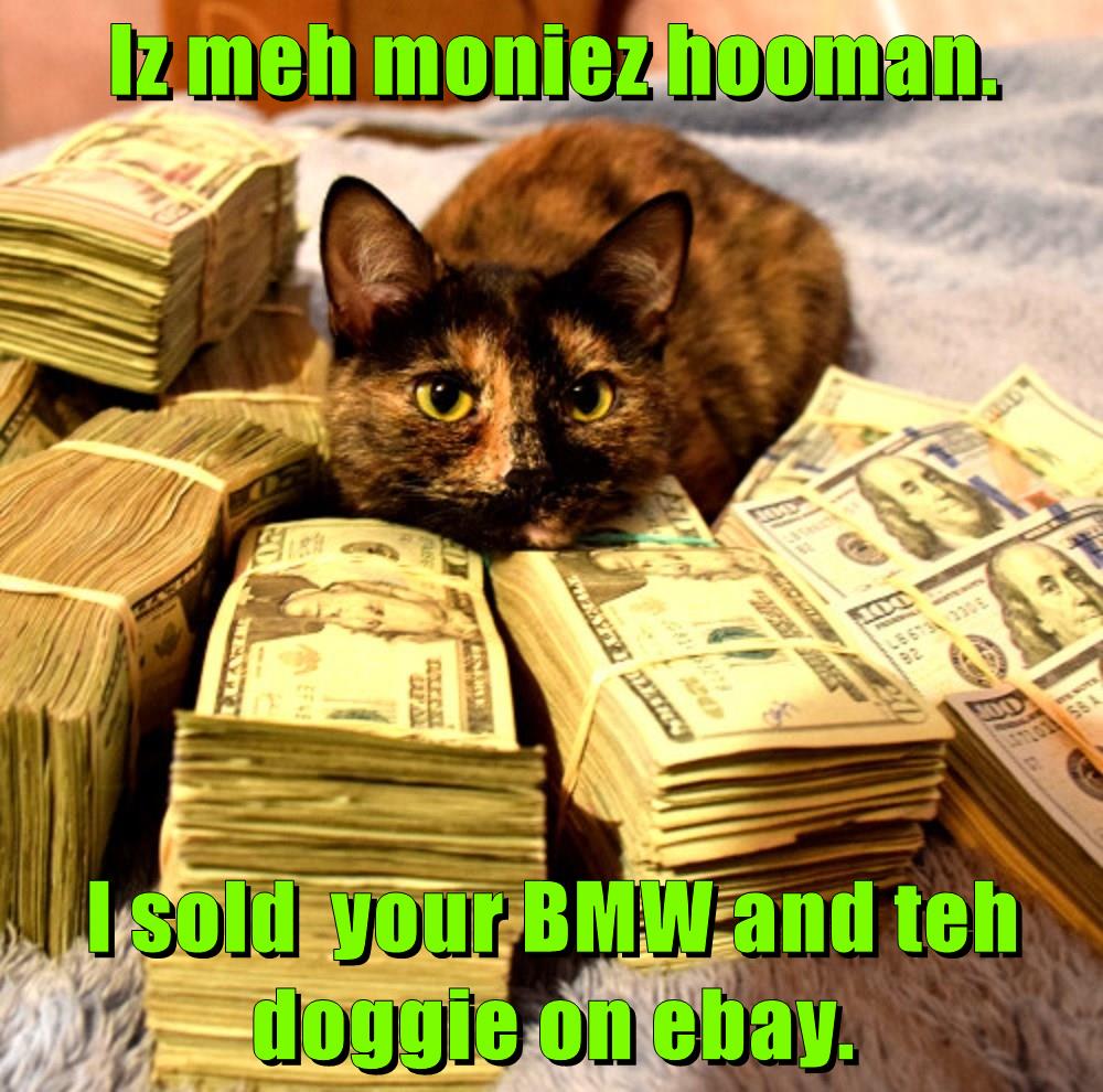 Meh moniez - Lolcats - lol | cat memes | funny cats | funny cat ...