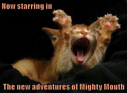 The new adventures of Mighty Mouth - Lolcats - lol | cat memes | funny ...