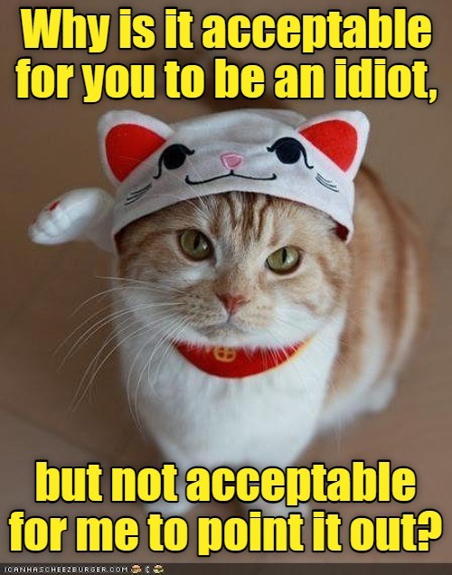 Tell me why. - Lolcats - lol | cat memes | funny cats | funny cat ...