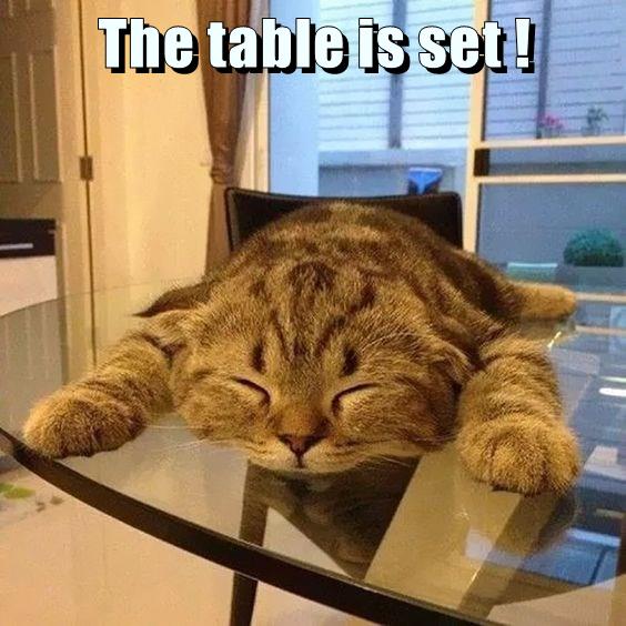 The table is set ! - Lolcats - lol | cat memes | funny cats | funny cat ...