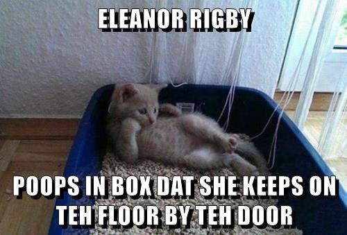 ELEANOR RIGBY - Lolcats - lol | cat memes | funny cats | funny cat ...