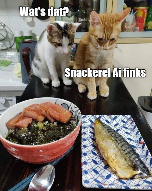 Go for it! - Lolcats - lol | cat memes | funny cats | funny cat ...