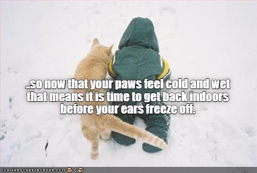 How to cat - lesson 5 - Lolcats - lol | cat memes | funny cats | funny ...