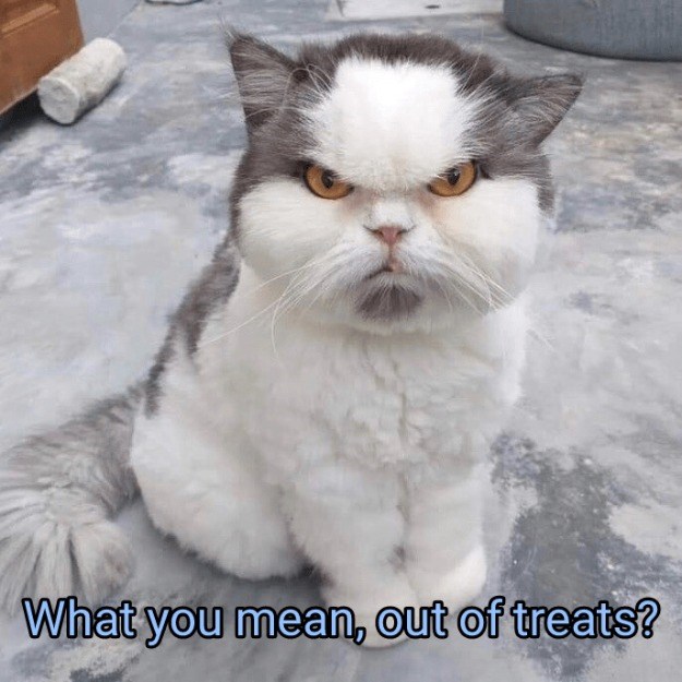 I hassa angry - Lolcats - lol | cat memes | funny cats | funny cat ...