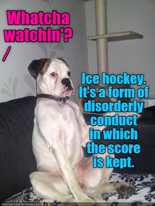 He has a point, you know. - I Has A Hotdog - Dog Pictures - Funny ...