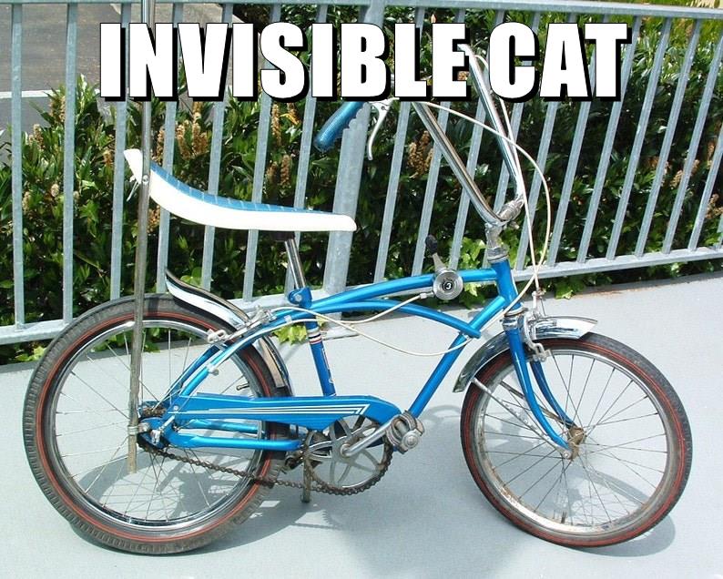 INVISIBLE CAT - Lolcats - lol | cat memes | funny cats | funny cat ...