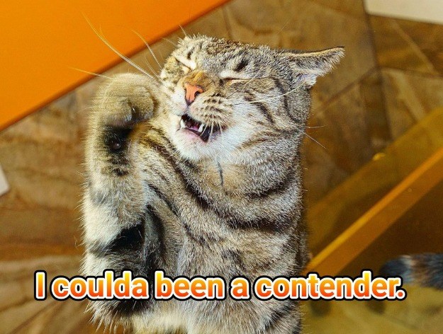 For those of you old enough to remember this movie line - Lolcats - lol ...