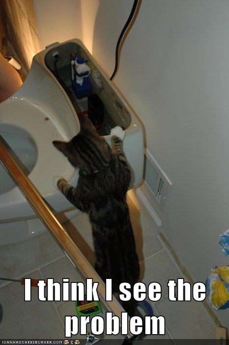 I think I see the problem - Lolcats - lol | cat memes | funny cats ...