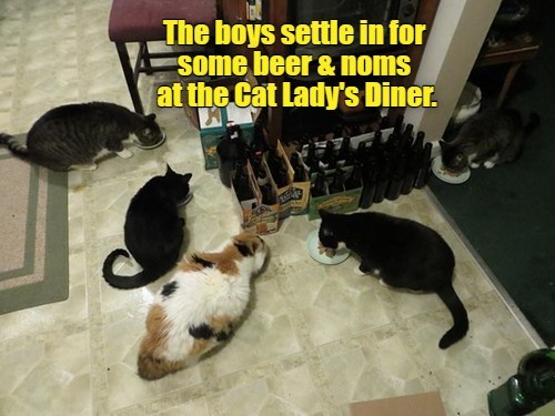 Cat Lady's Diner - Lolcats - lol | cat memes | funny cats | funny cat ...