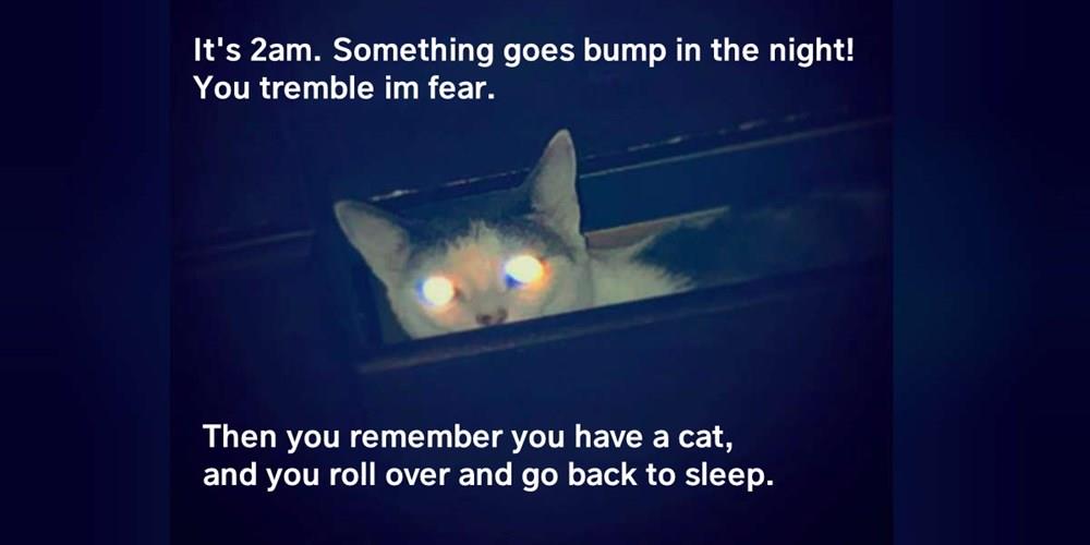 "Things that go bump in the night" - Lolcats - lol | cat memes | funny ...