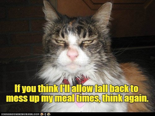 Think again. - Lolcats - lol | cat memes | funny cats | funny cat ...