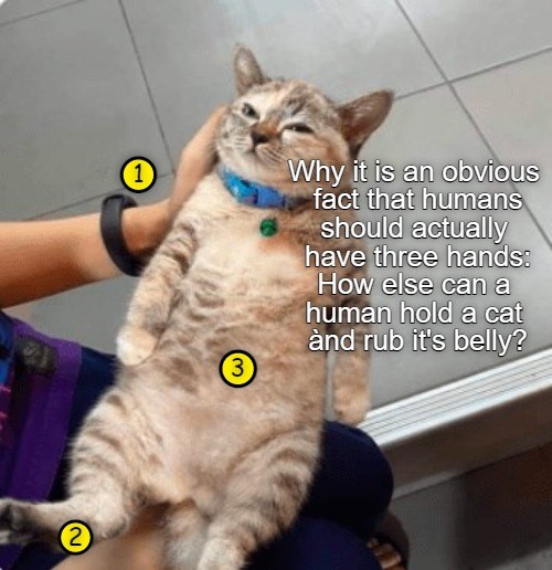 1, 2, 3 - Lolcats - lol | cat memes | funny cats | funny cat pictures ...