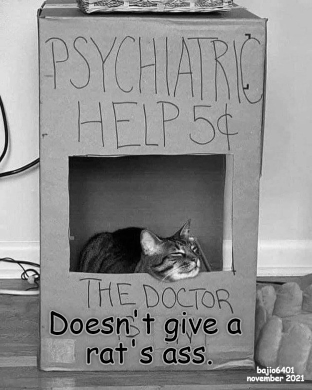 WHAT DID YOU EXPECT? HE'S A CAT - Lolcats - lol | cat memes | funny ...