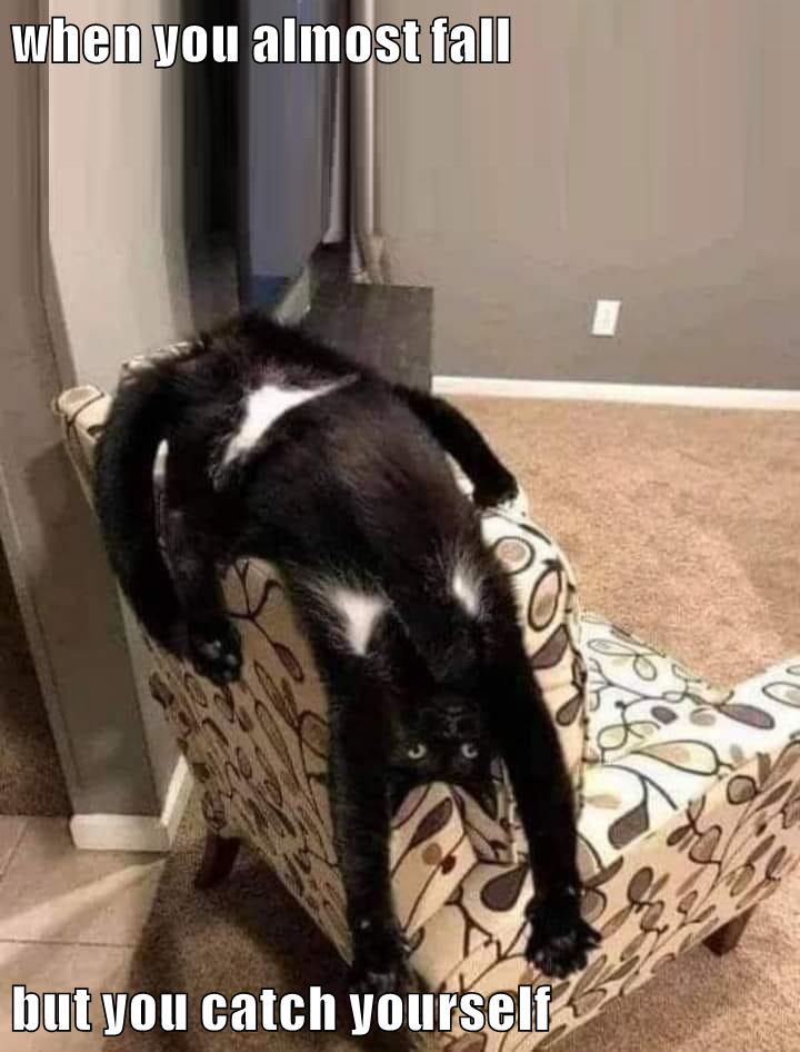 When you almost fall but you catch yourself - Lolcats - lol | cat memes ...