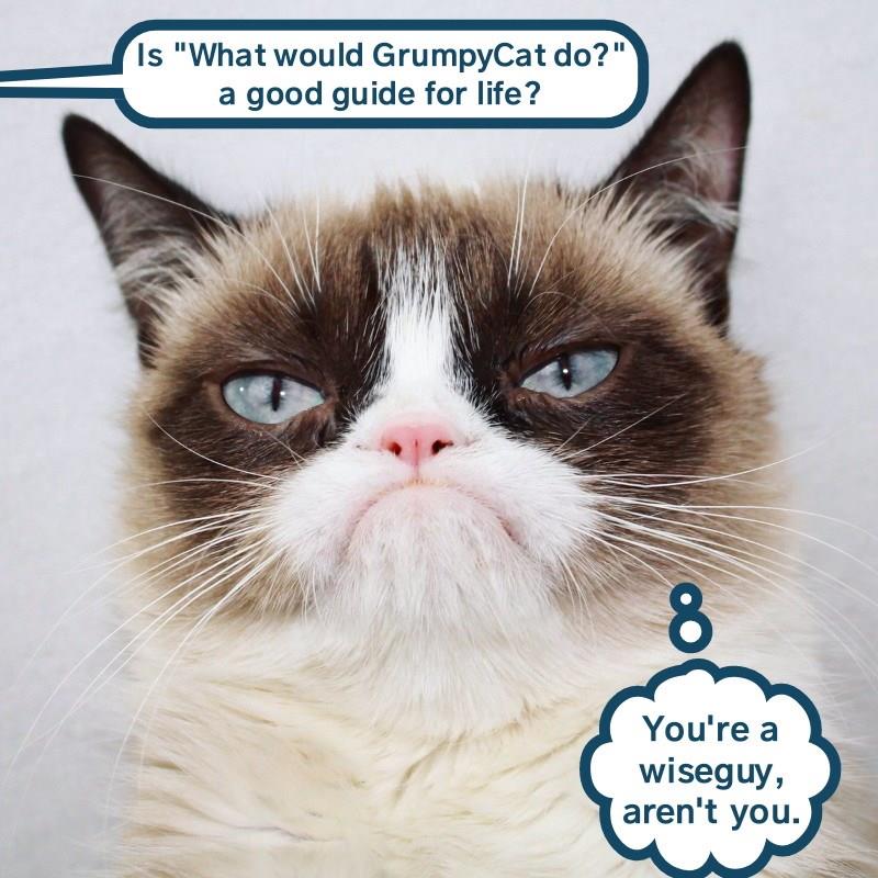 N-n-n- ...hm. - Lolcats - lol | cat memes | funny cats | funny cat ...