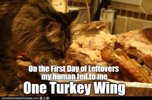 On the First Day of Leftovers - Lolcats - lol | cat memes | funny cats ...