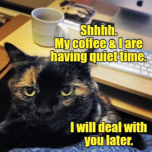 Very later. - Lolcats - lol | cat memes | funny cats | funny cat ...