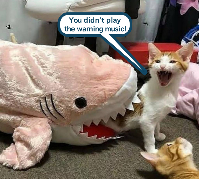 You didn't play the warning music! - Lolcats - lol | cat memes | funny ...
