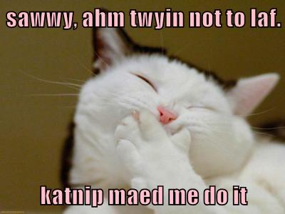Sawwy - Lolcats - lol | cat memes | funny cats | funny cat pictures ...