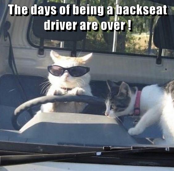 The days of being a backseat driver are over ! - Lolcats - lol | cat ...
