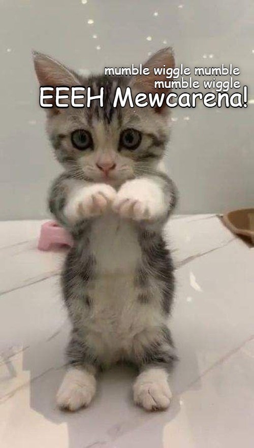 mumble mumble mewcarena - Lolcats - lol | cat memes | funny cats ...