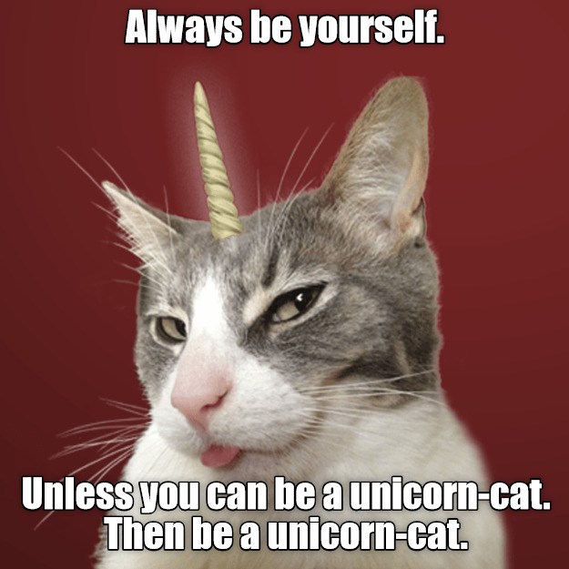 Unicorn-cats. The ultimate upgrade. - Lolcats - lol | cat memes | funny ...