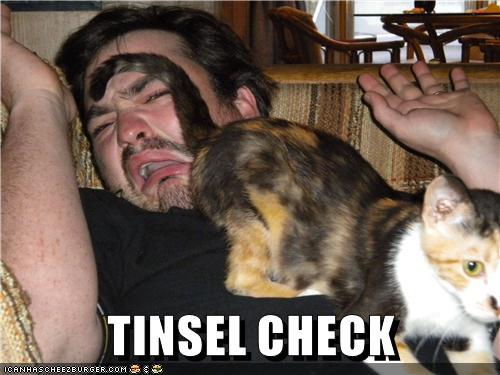 TINSEL CHECK - Lolcats - lol | cat memes | funny cats | funny cat ...