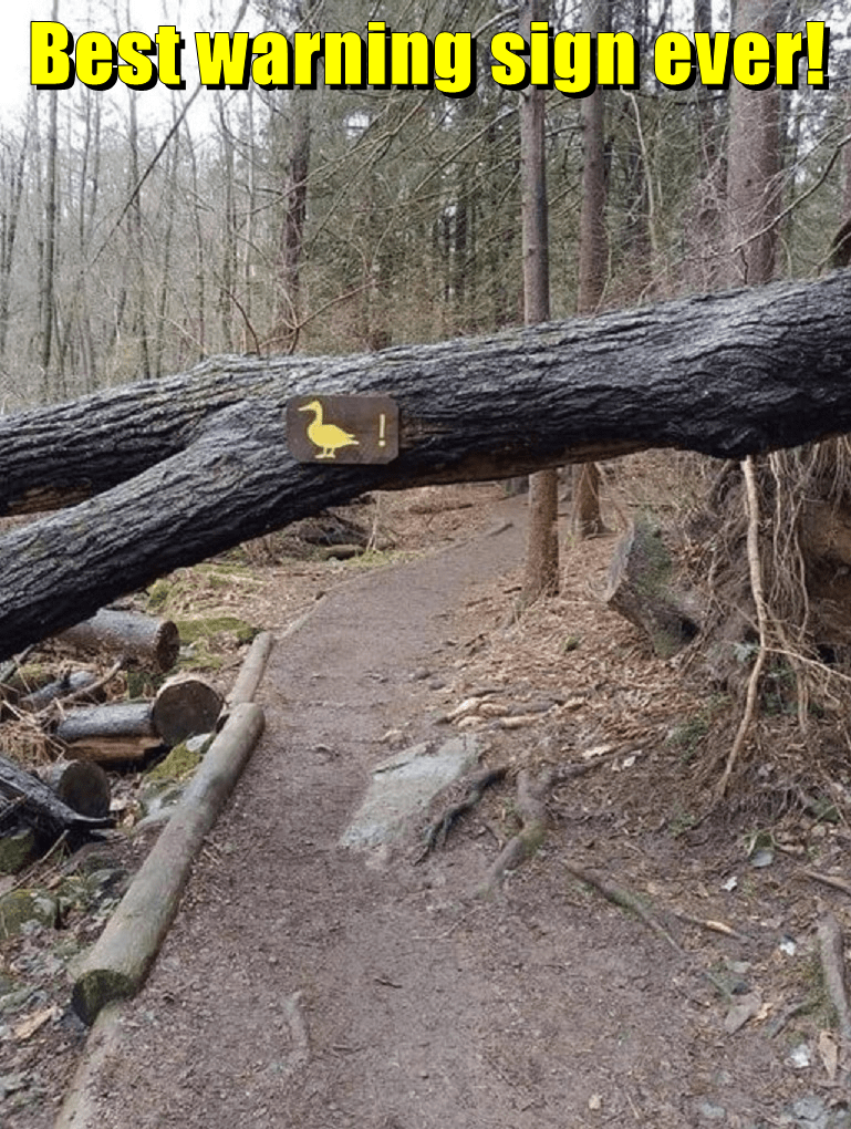 Best warning sign ever! - Animal Comedy - Animal Comedy, funny animals ...