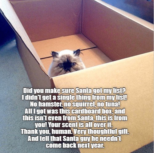 Very thoughtful gift - Lolcats - lol | cat memes | funny cats | funny ...