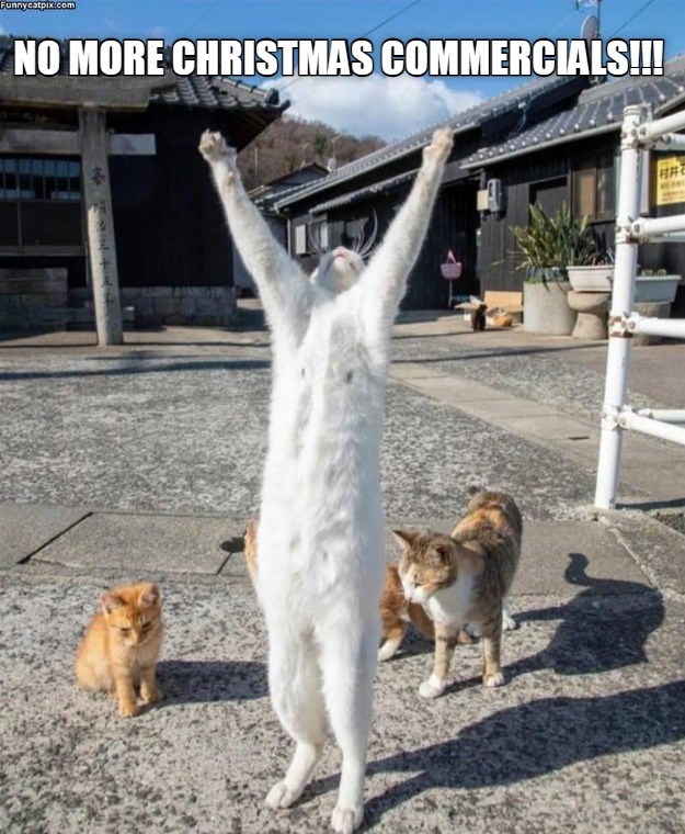 Say no more - Lolcats - lol | cat memes | funny cats | funny cat ...