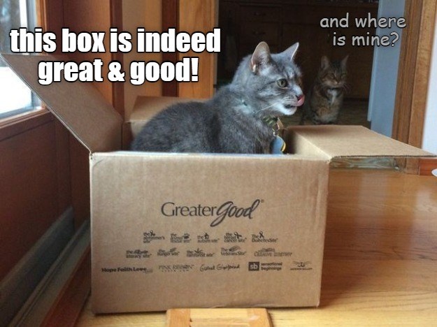 This box is indeed great & good! - Lolcats - lol | cat memes | funny cats | funny cat pictures ...