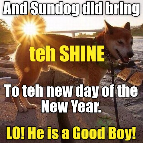 Thank you, Sundog. - I Has A Hotdog - Dog Pictures - Funny pictures of ...