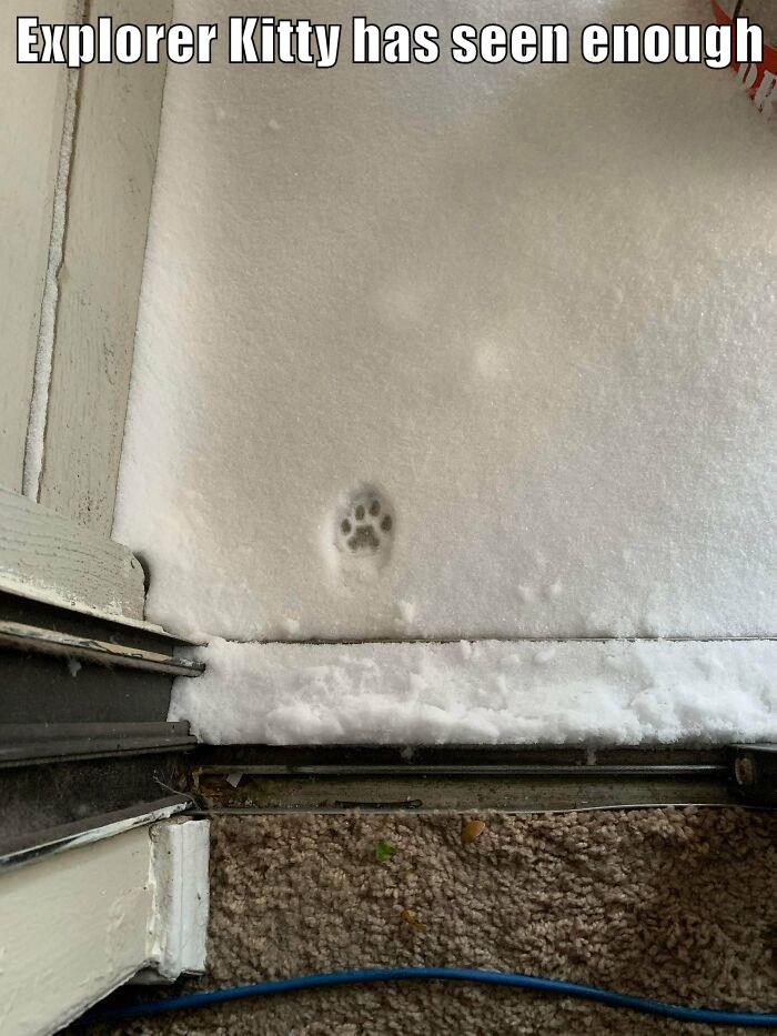 Enough - Lolcats - lol | cat memes | funny cats | funny cat pictures ...