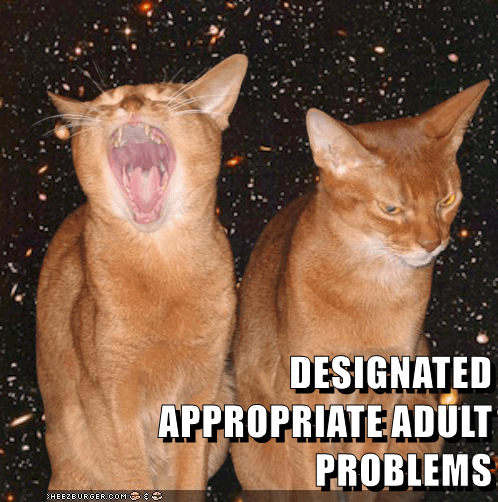DESIGNATED APPROPRIATE ADULT PROBLEMS - Lolcats - lol | cat memes ...