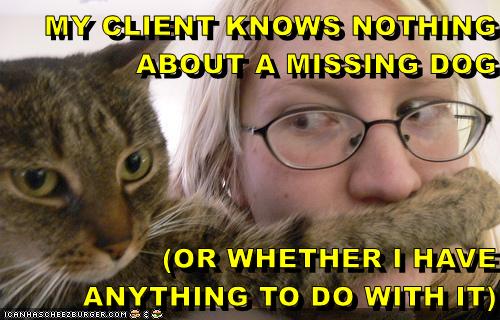 NOTHING - Lolcats - lol | cat memes | funny cats | funny cat pictures ...