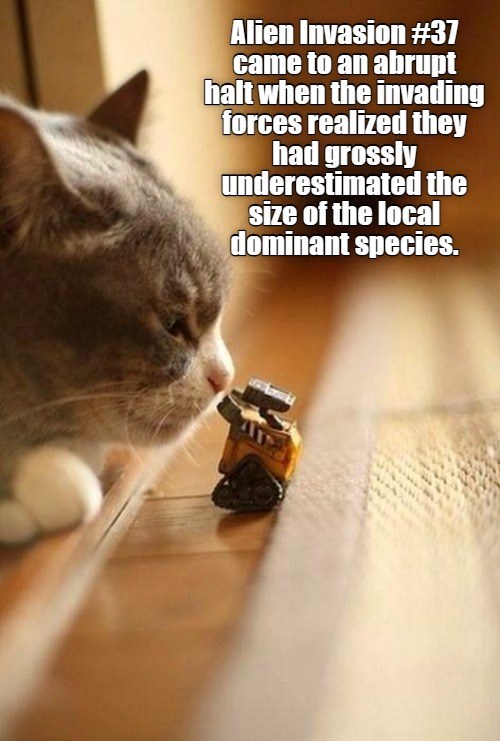 Mission: Failed - Lolcats - lol | cat memes | funny cats | funny cat ...