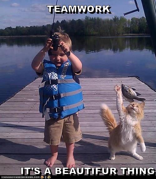 TEAMWORK IT'S A BEAUTIFUR THING - Lolcats - lol | cat memes | funny ...