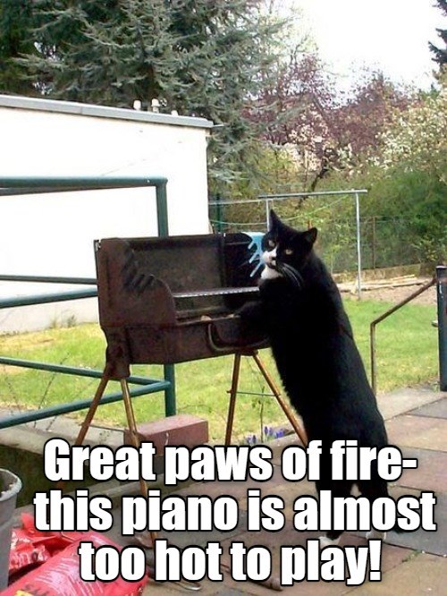 Goodness Gracious! - Lolcats - lol | cat memes | funny cats | funny cat ...