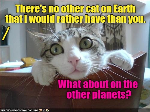 Insecure much? - Lolcats - lol | cat memes | funny cats | funny cat ...