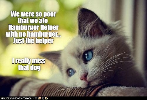 He Was A Stick-To-Your-Ribs Kinda Dog - Lolcats - lol | cat memes ...